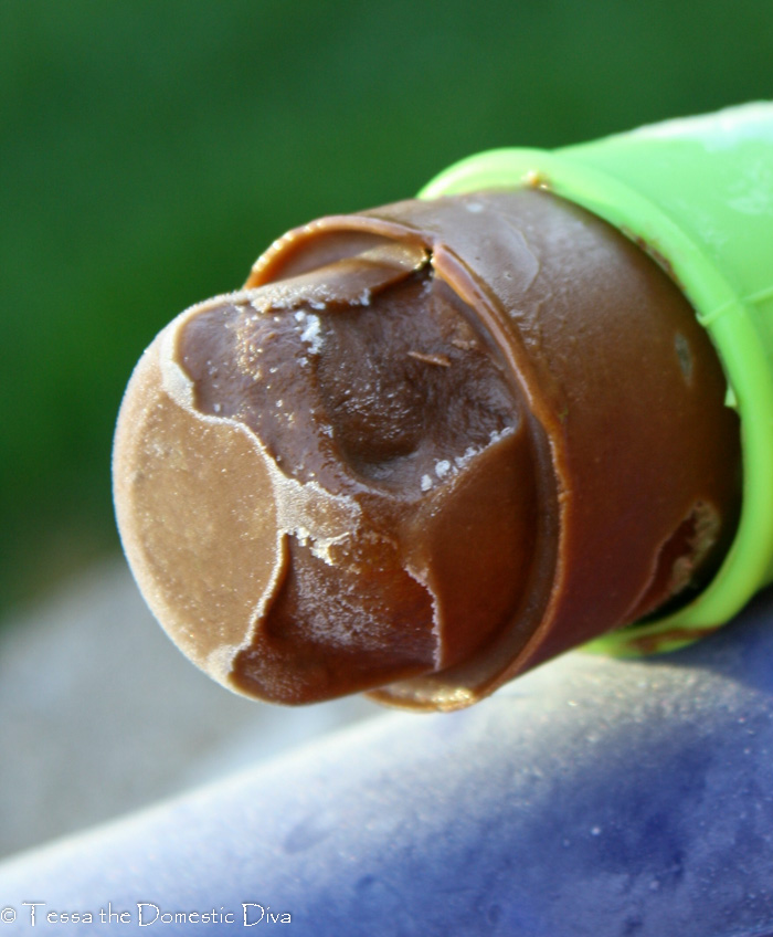 Dairy Free Fudgesicles - Tessa the Domestic Diva