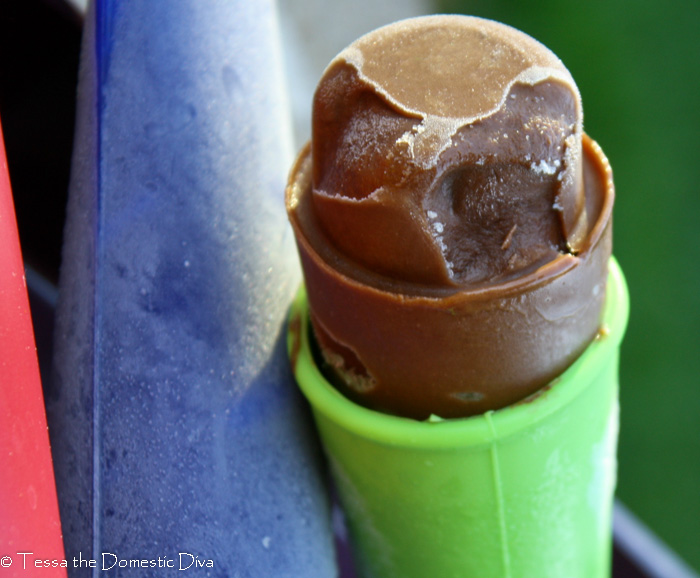 Dairy Free Fudgesicles - Tessa the Domestic Diva